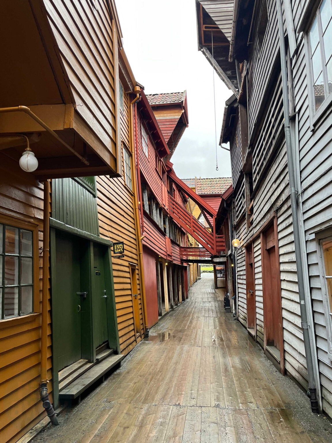 Simply spectacular! Oslo 🇳🇴 to Bergen 🇳🇴 by daytime train - rail-away.com